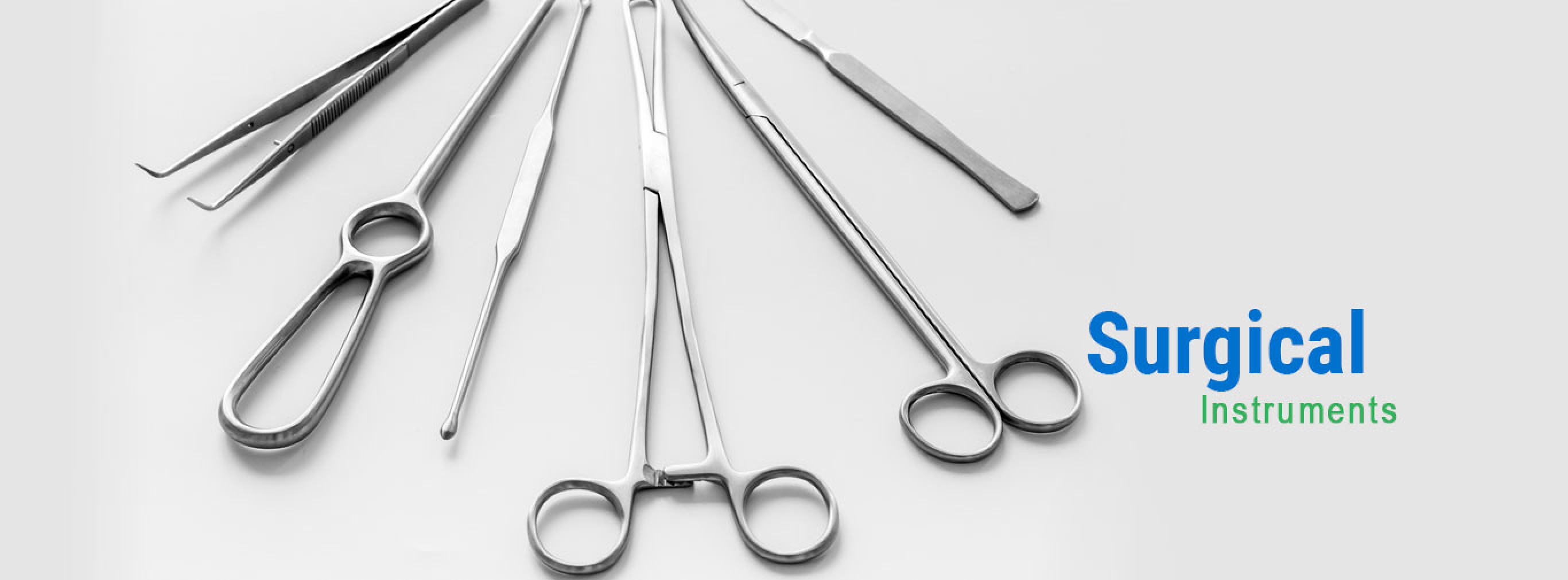 Modesty International